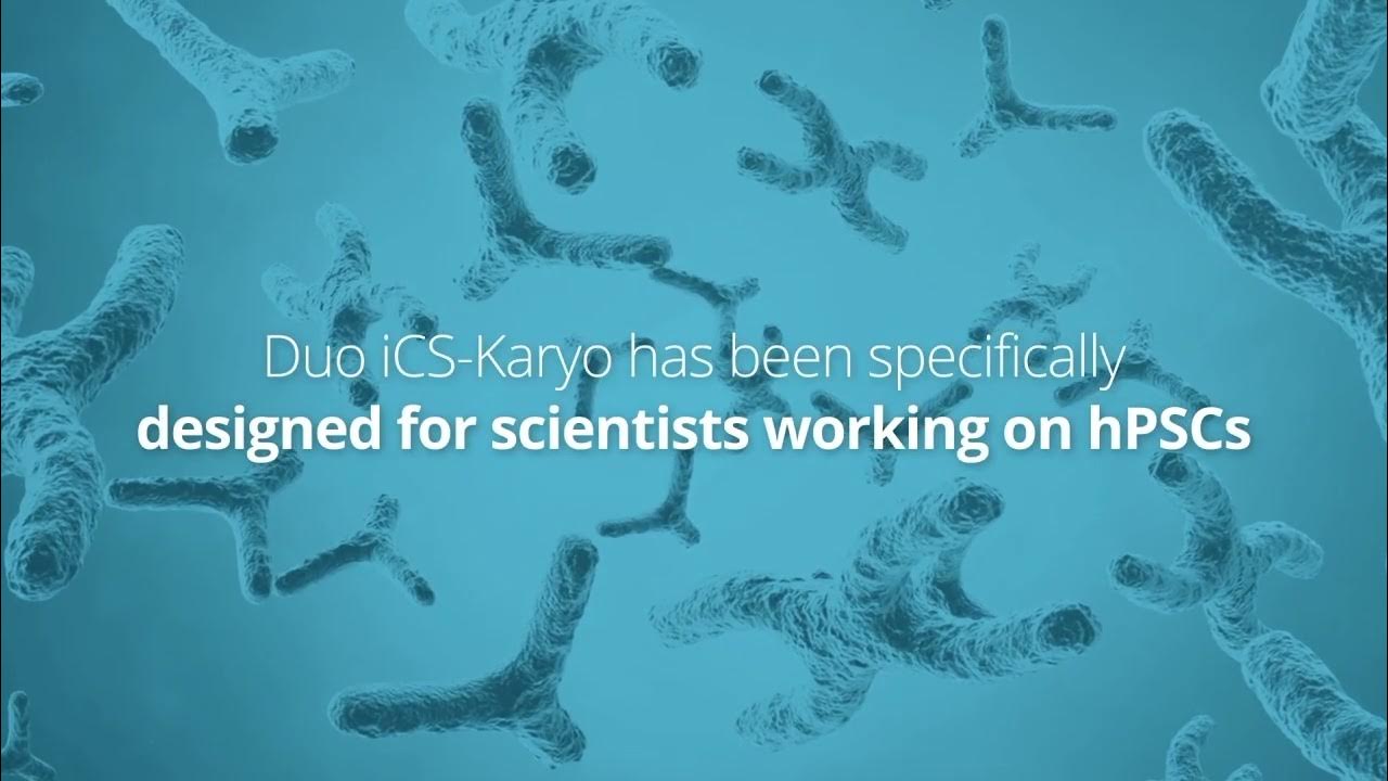 Which genomic test will get your hPSC research approved - Stem Genomics