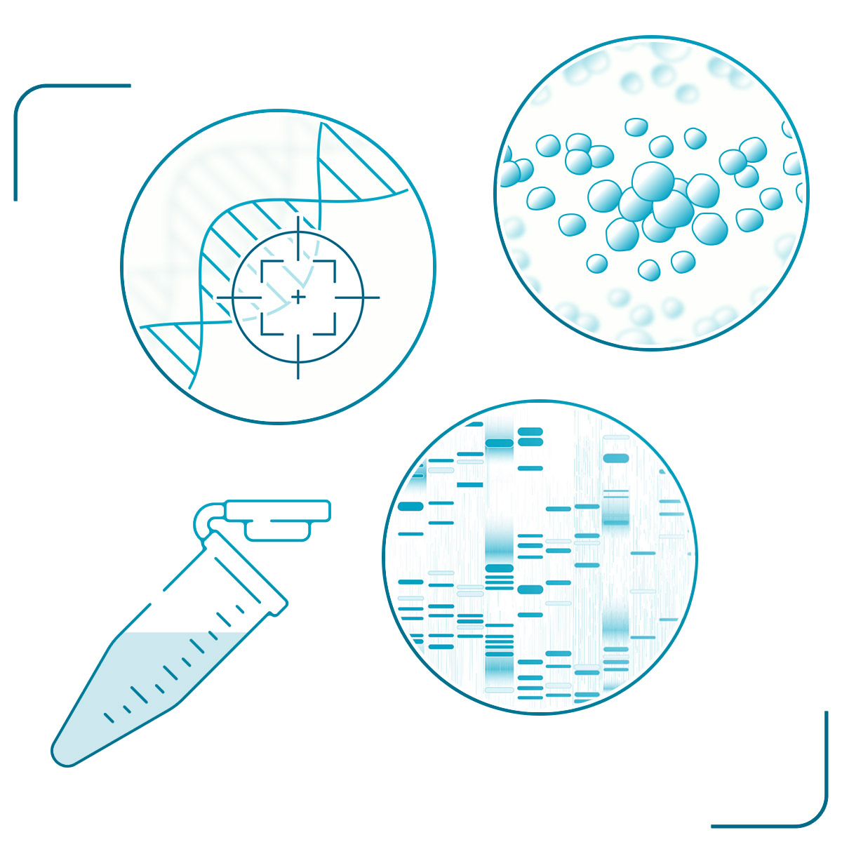 Innovative and fast quality control solutions for stem cells- Stem Genomics