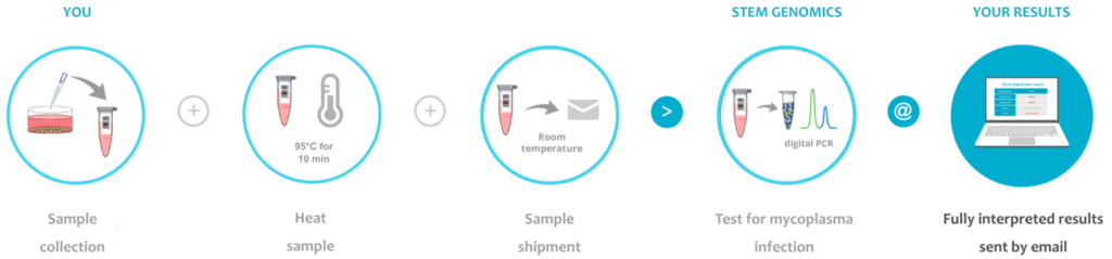 Get mycoplasma detection with digital PCR results in 3 days - Stem Genomics