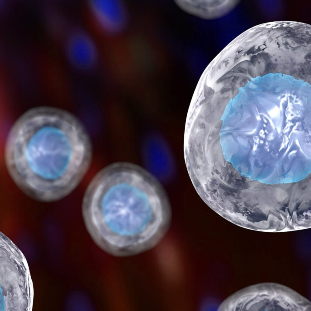 Latest news and insights into stem cell genomic integrity - Stem Genomics