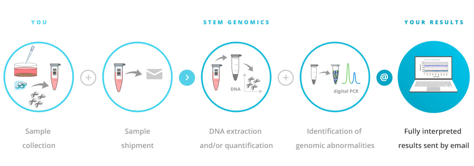 Identify recurrent abnormalities in hPSCs in just 3 days - Stem Genomics