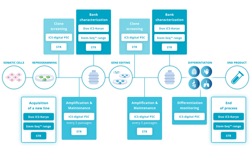 Easy and affordable Human cell line authentication in 3 days.- Stem ...