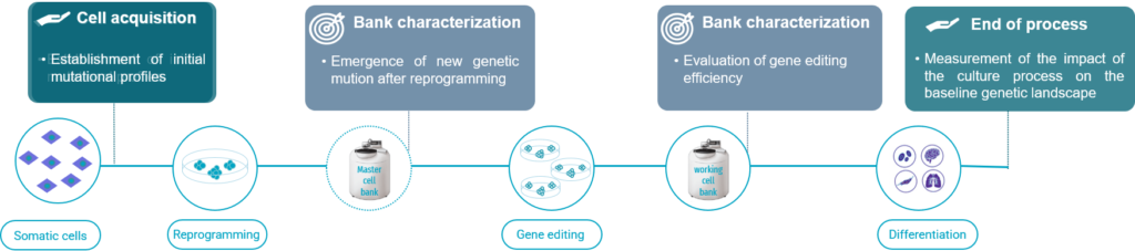Targeted NGS assay designed for stem cell research scientists Stem Genomics