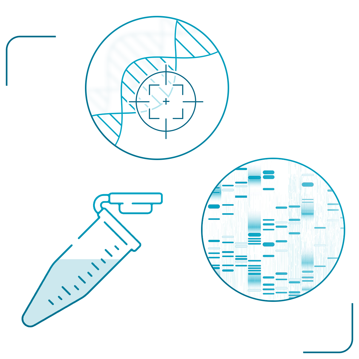 Innovative and fast genetic stability testing solutions- Stem Genomics