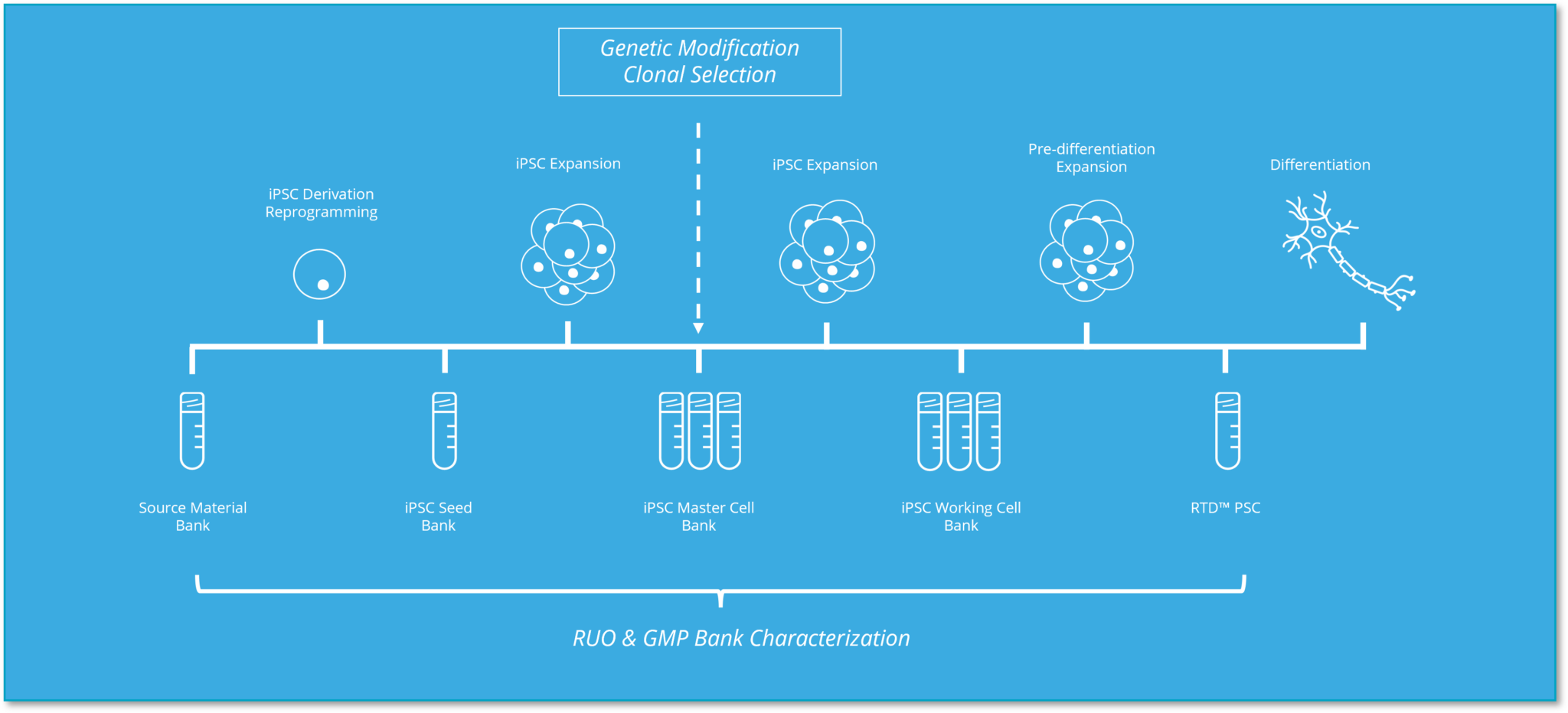 New NGS-based assay Stem-Seq Plus gets peer review - Stem Genomics