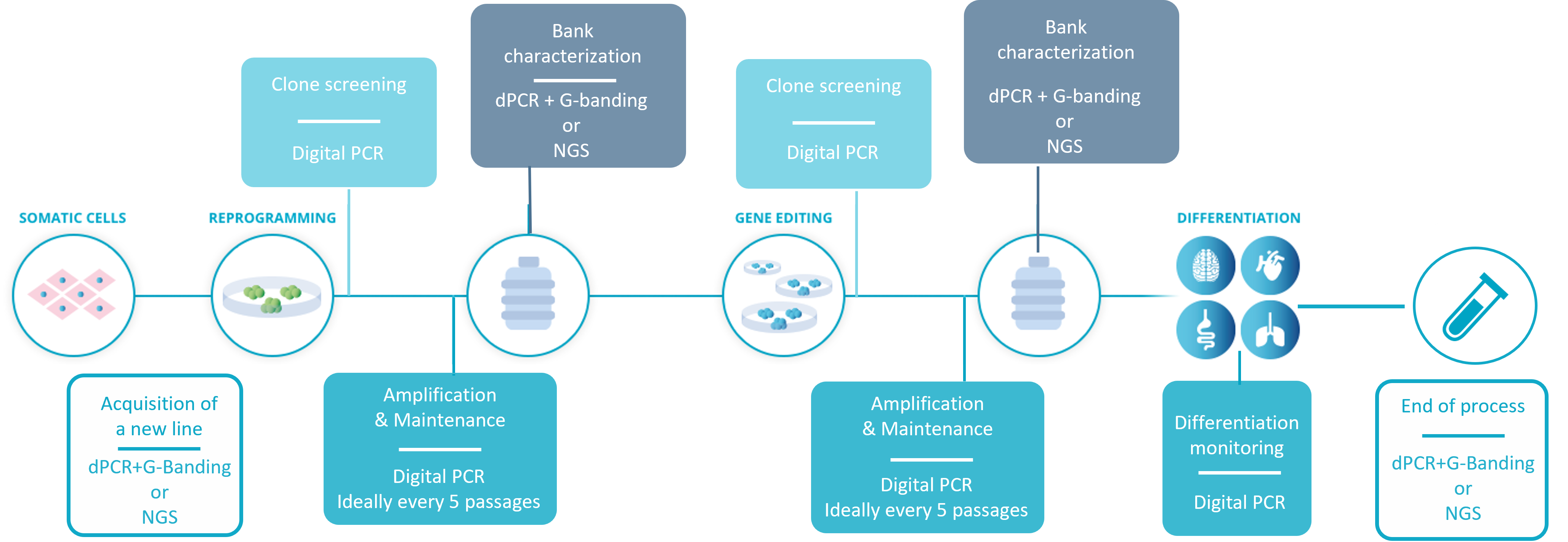 Stem Genomics publishes latest genomic stability QC for PSCs