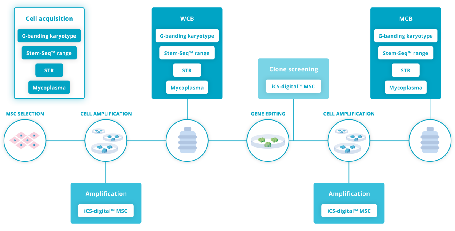 Easy and affordable Human cell line authentication in 3 days.- Stem ...