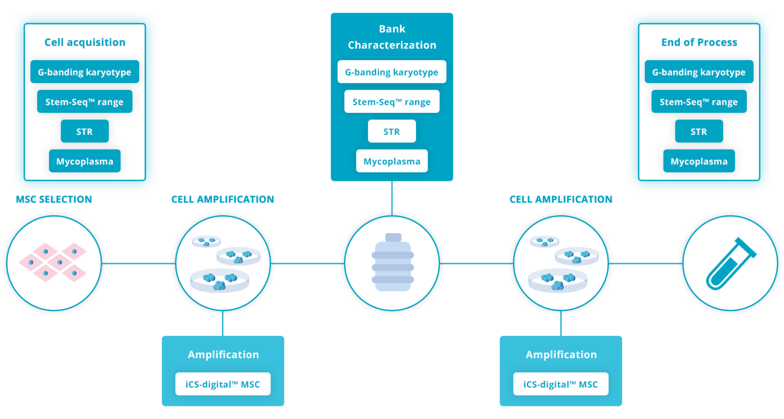 NGS-based assays to test genomic stability in stem cells - Stem Genomics