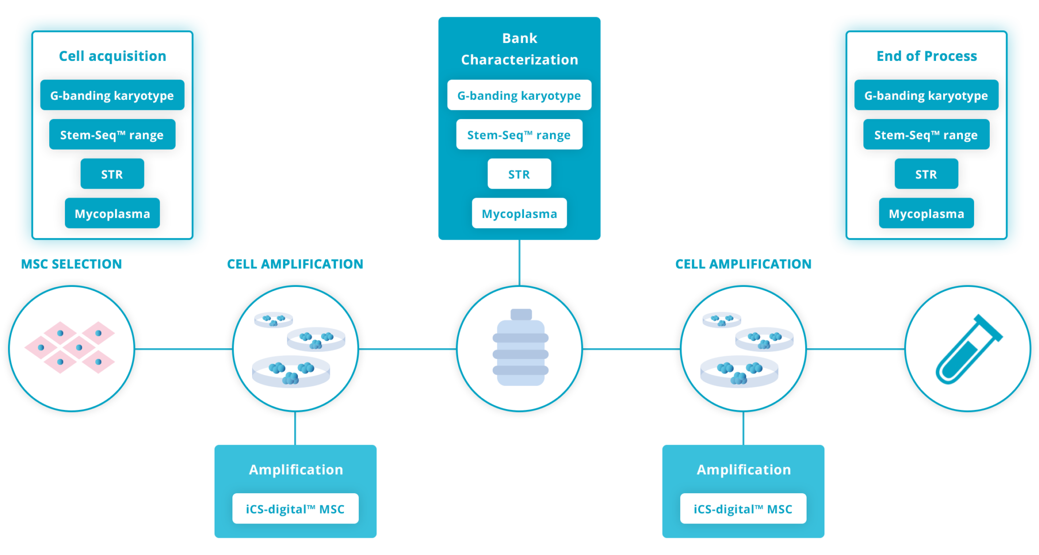 NGS-based assays to test genomic stability in stem cells - Stem Genomics
