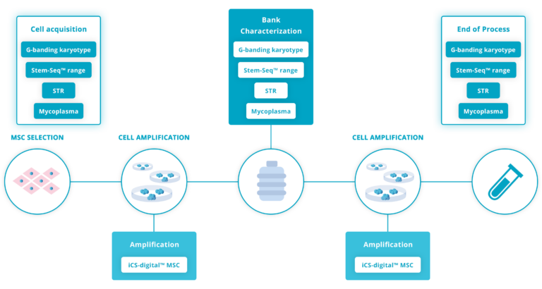 NGS-based assays to test genomic stability in stem cells - Stem Genomics