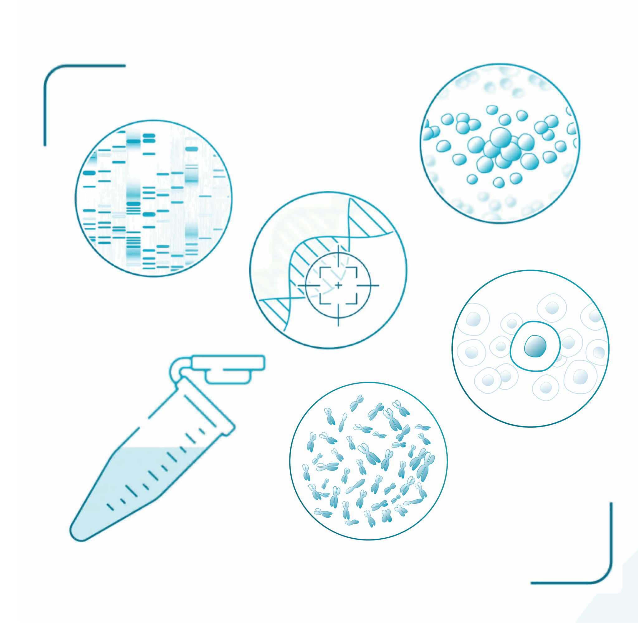 Innovative and fast characterization services for stem cells- Stem Genomics