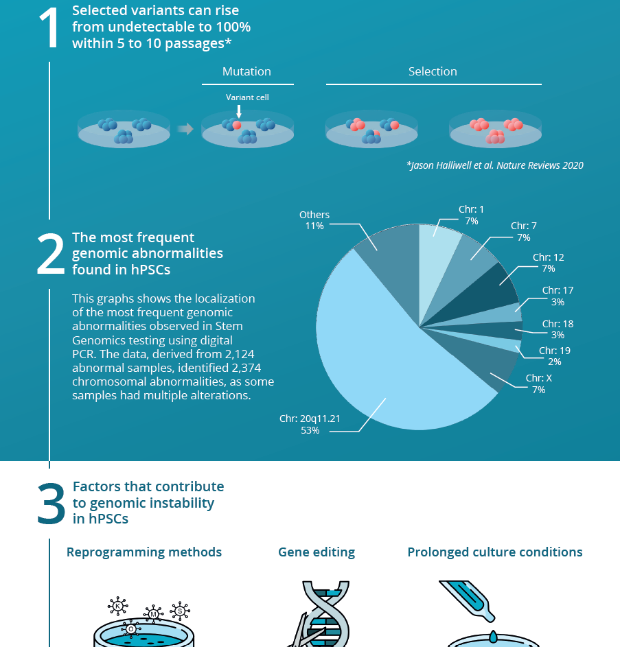 Infographics on pluripotent stem cells and other cell types - Stem Genomics